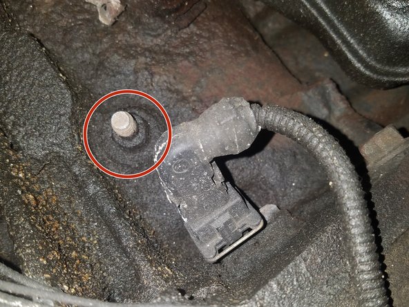 2000-2004 Ford Focus Zetec SVT Timing Belt Replacement (2000, 2001 ...