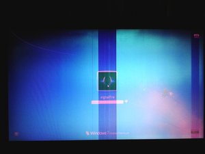 SOLVED: Possible garbage display issue - is it my video card or monitor ...