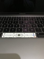 SOLVED: Spacebar key lit / white butterfly mechanism unresponsive ...