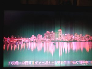 SOLVED: Possible garbage display issue - is it my video card or monitor ...