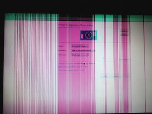 SOLVED: Possible garbage display issue - is it my video card or monitor ...