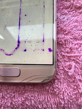Phone got wet and purple blotches shown up on screen, how do I fix it ...