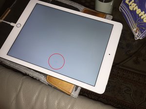 SOLVED: Faint dark spot on iPad screen from interior "cable burn ...