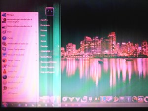 SOLVED: Possible garbage display issue - is it my video card or monitor ...