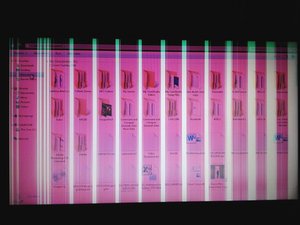 SOLVED: Possible garbage display issue - is it my video card or monitor ...