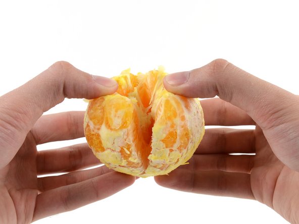 Orange Teardown - iFixit