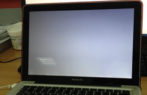 PAPARAN SKRIN MACBOOK PUTIH (WHITE SCREEN DISPLAY) | REPAIR LAPTOP BATU ...