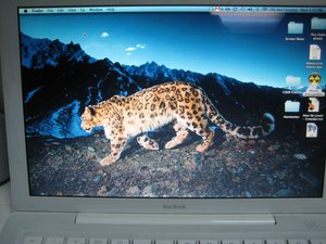 SOLVED: Screen Discoloration, color distortion, help deciding what to ...