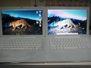 SOLVED: Screen Discoloration, color distortion, help deciding what to ...