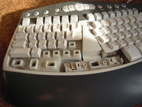 Microsoft Natural Multimedia Keyboard disassembly and cleaning - iFixit
